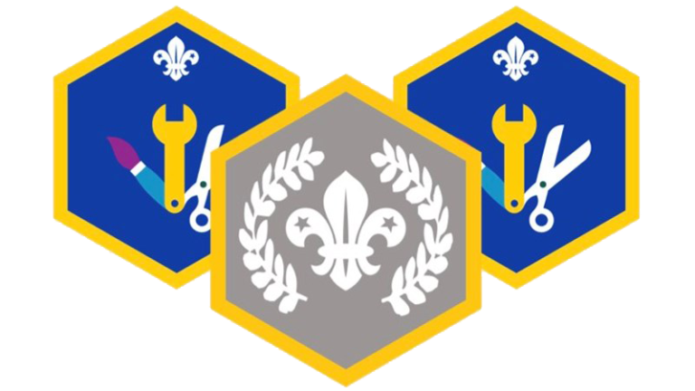Badges & Awards - 224 North London Air Scouts